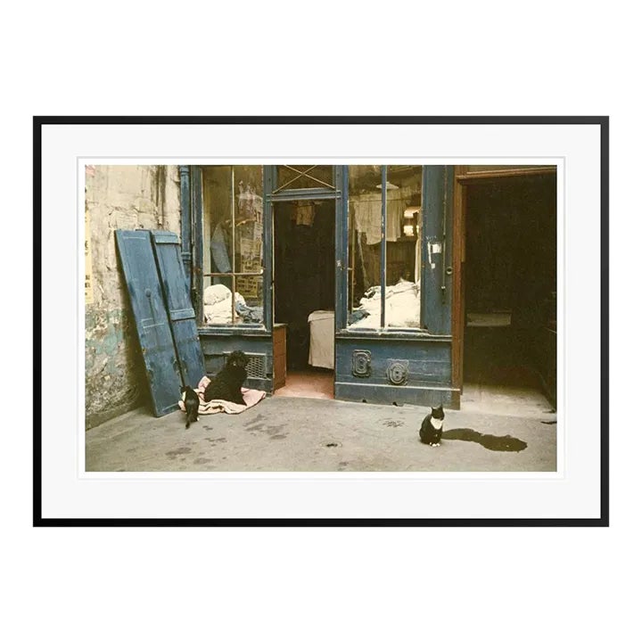 Parisian Blue 1950s by Peter Cornelius Framed C-Print Photograph | Chairish