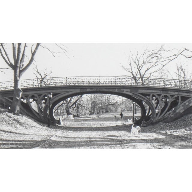 Kay Schrenk "Bridle Path Bridge" Selenium Print | Chairish