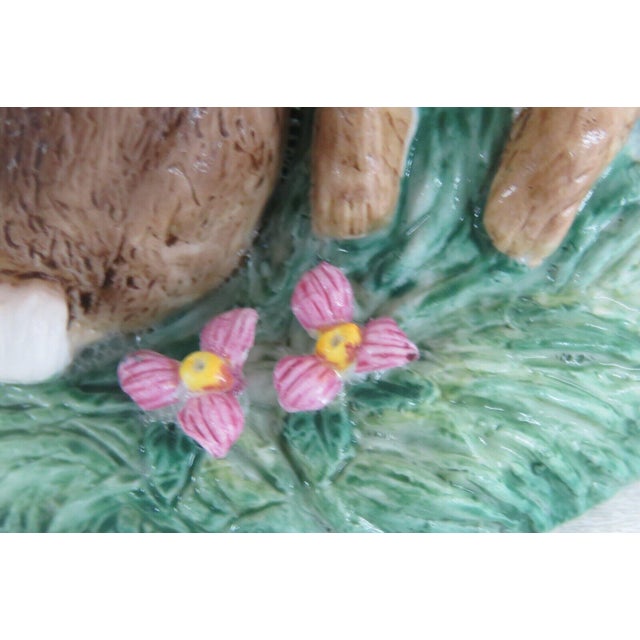 Royal Windsor Eastern Cottontail Rabbit Southern Forest Families ...