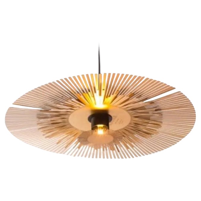 Lafayette Brass Hanging Light by Radar | Chairish
