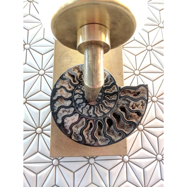 Natural Ammonite Nautilus Fossil Wall Light in Solid Brass and Glass ...