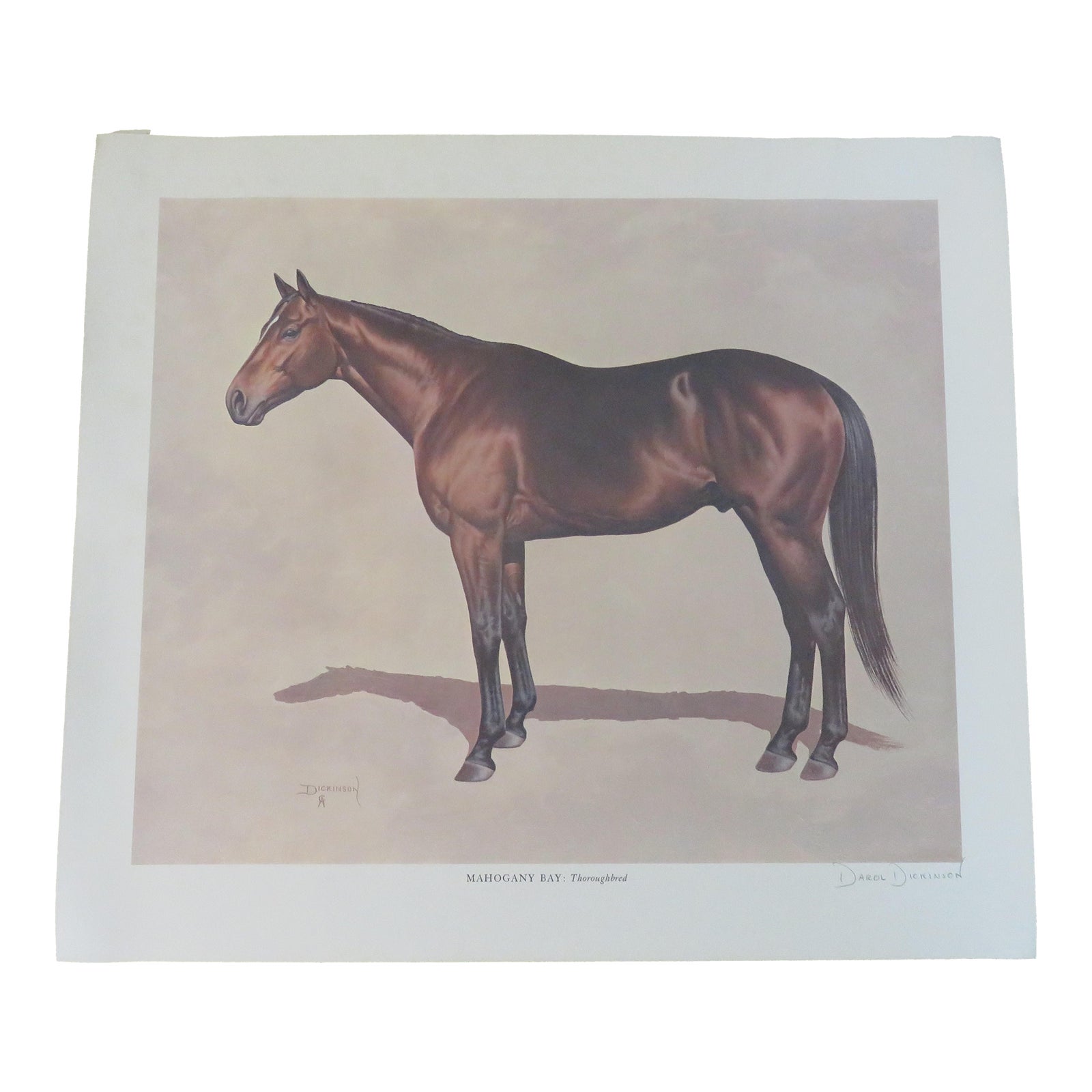 Darol Dickinson's Limited Edition Print Color of Horses / Mahogany Bay ...