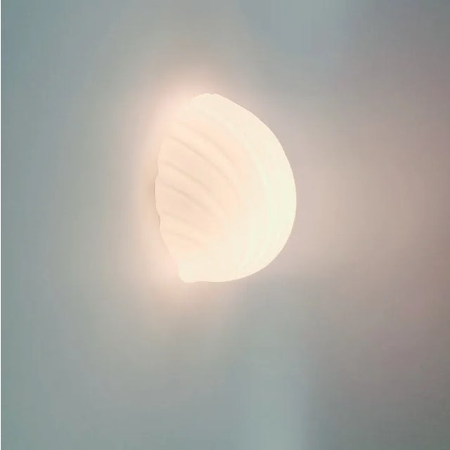 Minimalist Opaline Glass Shell-Shaped Wall Lights/Sconces From Limburg ...