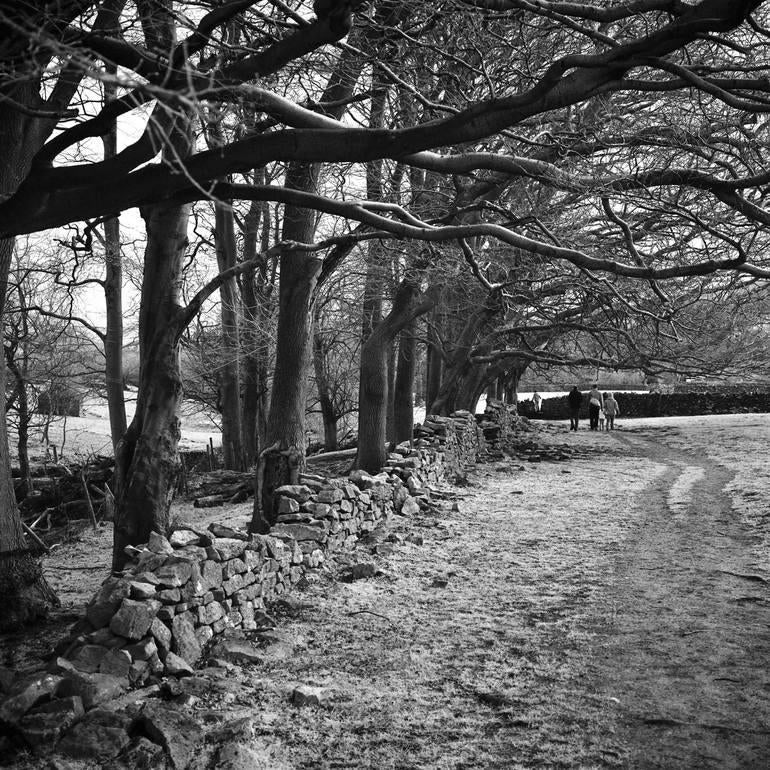 Paul Cooklin, The Peak District, Photograph | Chairish