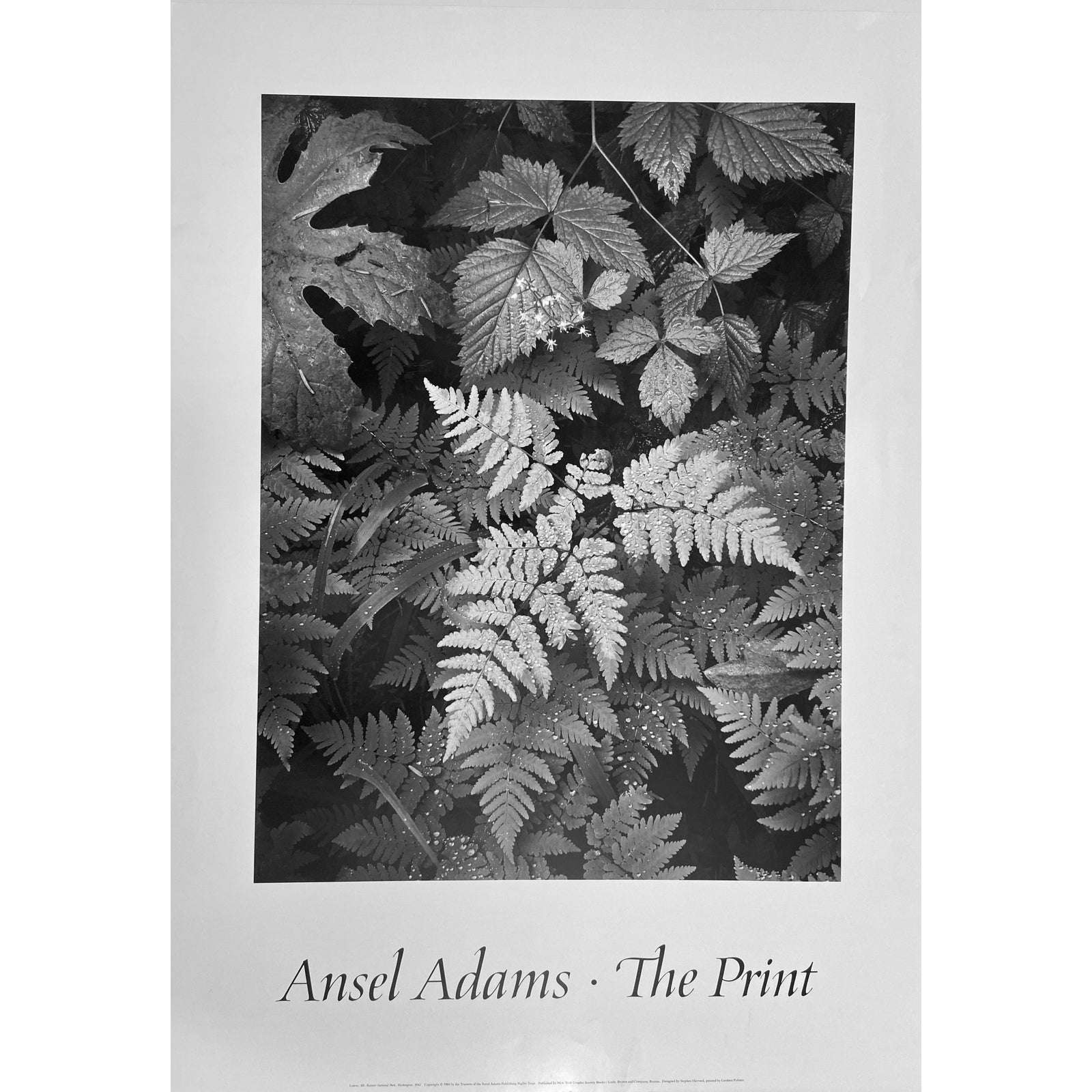 1942 "The Print" Ansel Adams Mt. Rainer National Park Washington Poster ...