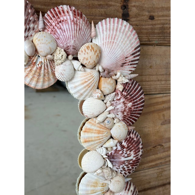 Coastal Handmade Pink Scallop Seashell Wall Mirror | Chairish