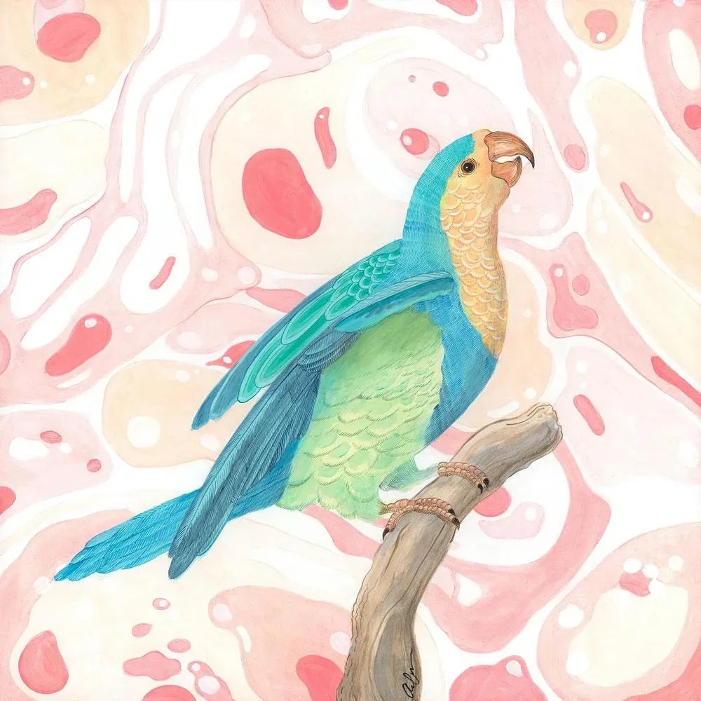 “Feather Let Me Go” Parrot Painting Art by Allison Cosmos | Chairish