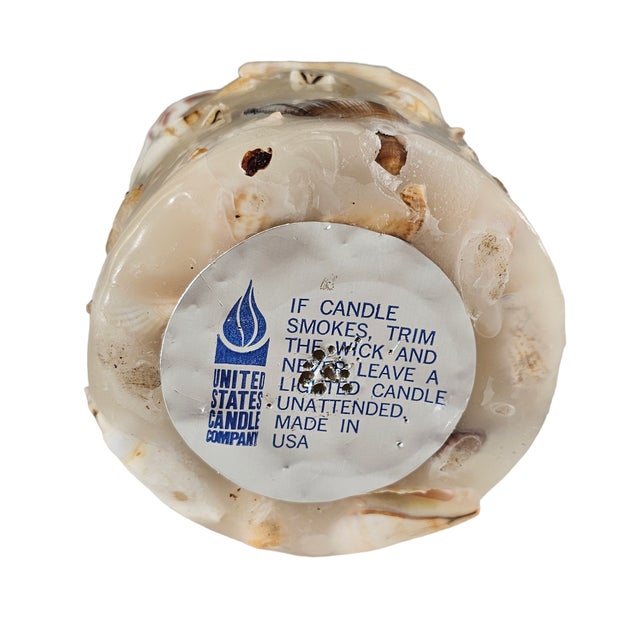 Embedded Shell Candle Wax W/ Wood Stand | Chairish