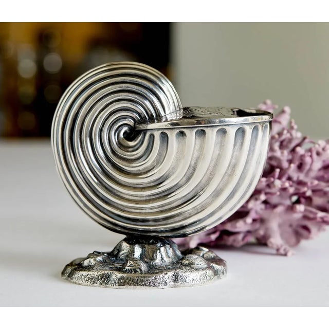 Antique 1880s English Nautilus Shell Spoon Warmer | Chairish