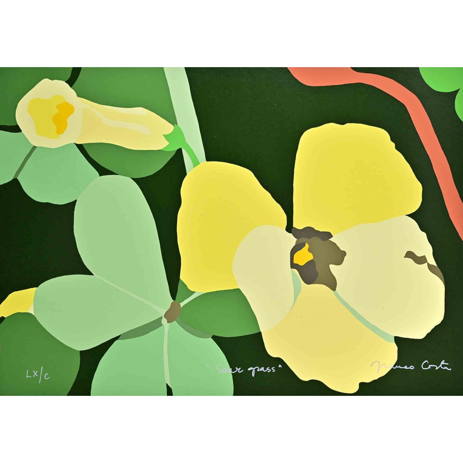 Franco Costa, Sour Grass, Screenprint, 1990s | Chairish