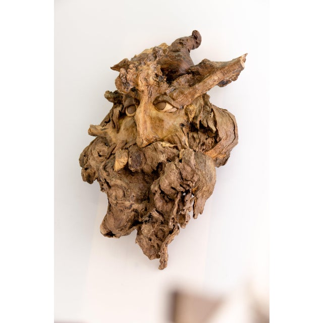 TreeBeard - Unique Driftwood Artwork Sculpture | Chairish