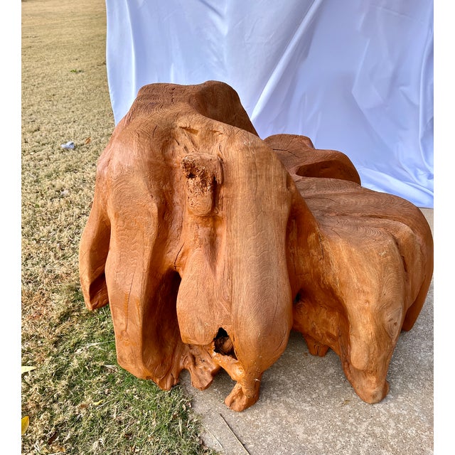 Rustic Teak Root Chair | Chairish