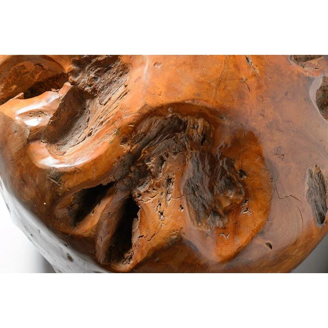 Extra Large Polished Burl Wood Sphere Sculpture, 21" | Chairish