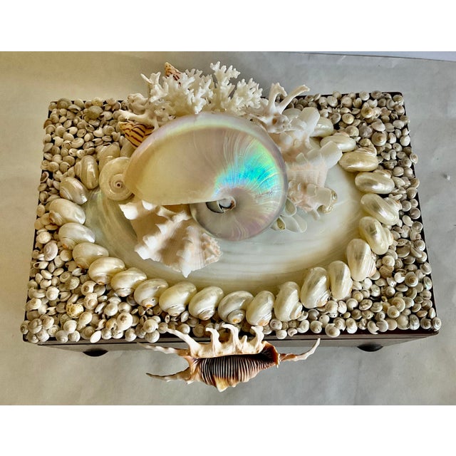 Antique Shell Collectors Box | Chairish