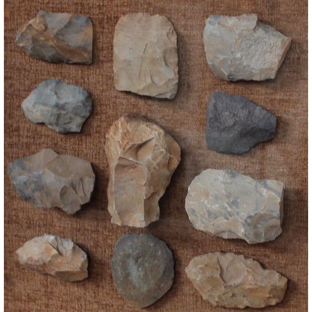 Native American Mounted Collection of Stone Scrapers | Chairish