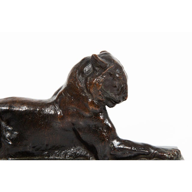 Rare American Sculpture of “Princeton Tiger” by Alexander Phimister ...