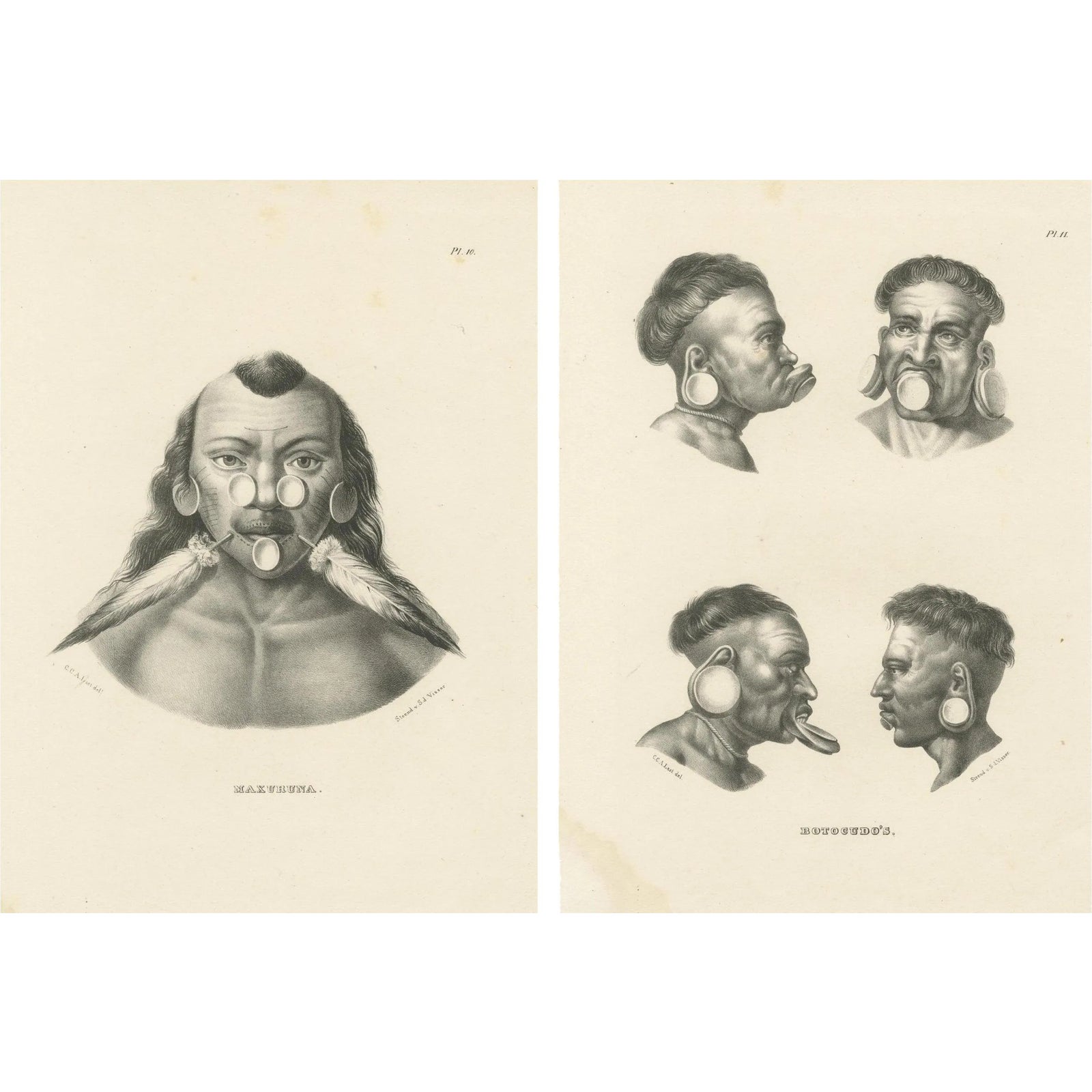 Brodtmann, Maxuruna and Botocudo Peoples, 1827, Lithographs, Set of 2 ...