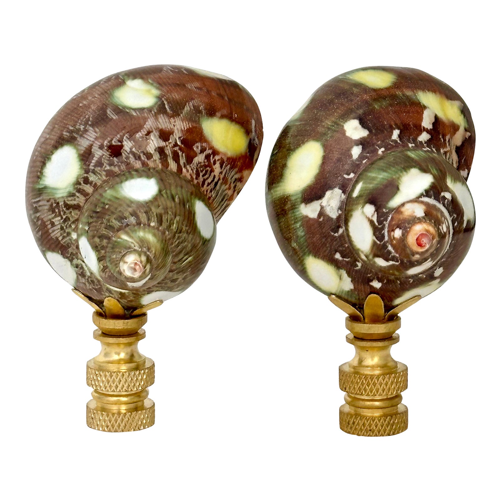 Spotted Shell Lamp Finials on Brass Hardware - a Pair | Chairish
