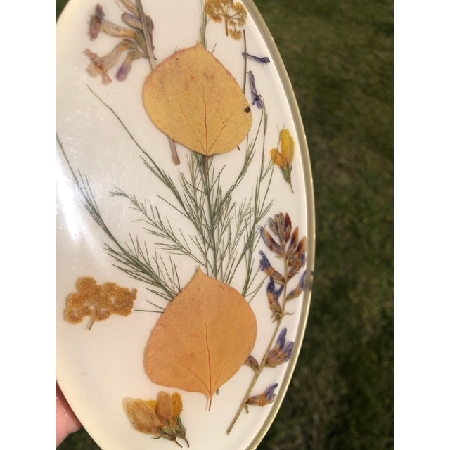 1970s Pressed Foliage Resin Art Autumn Leaves Wall Object | Chairish