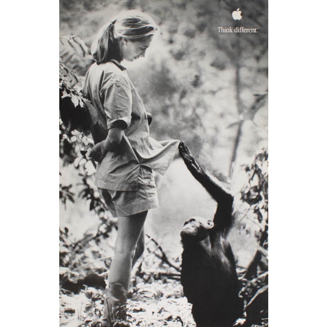 Apple “Think Different” 1998 Jane Goodall Poster | Chairish