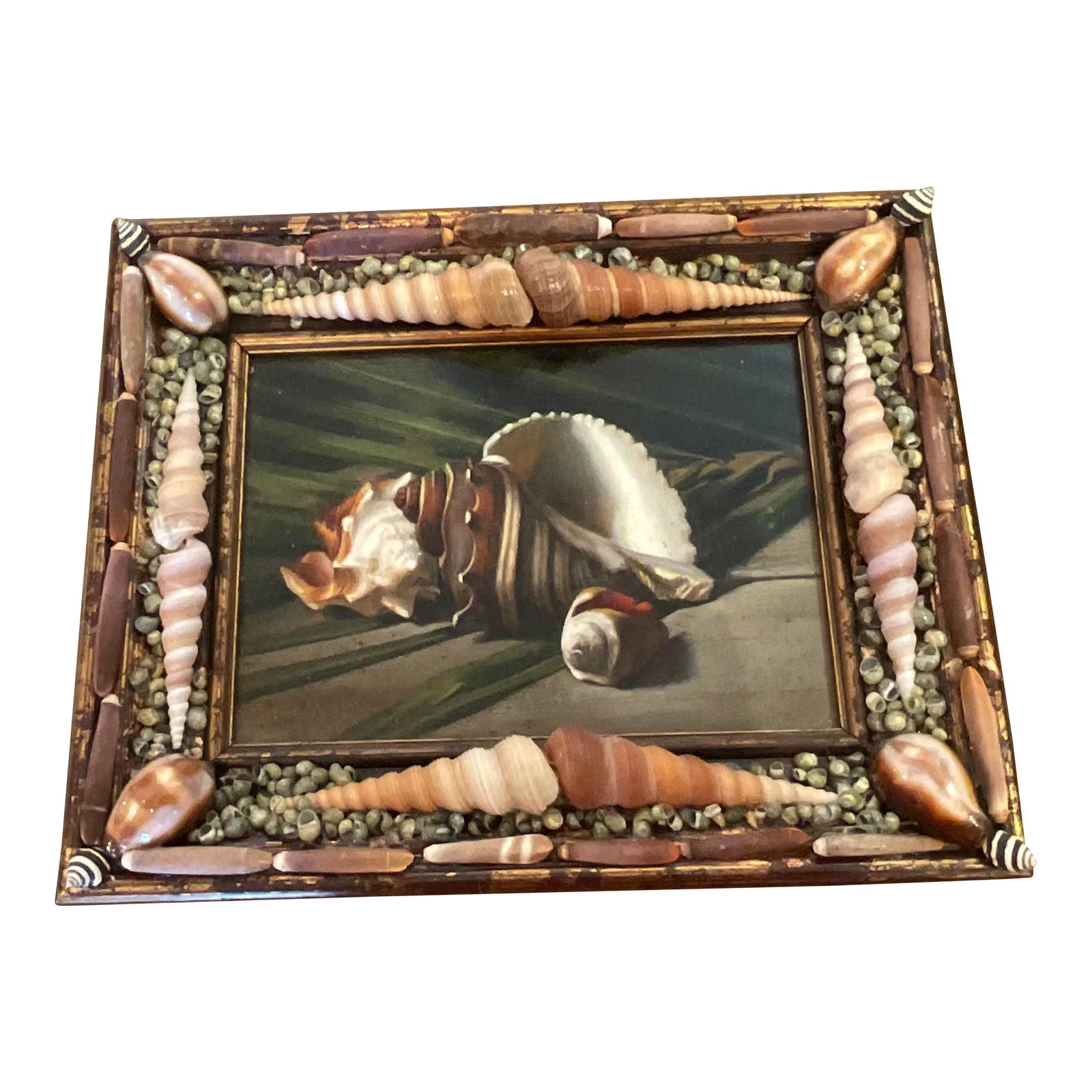 Original Painting of Shell Still Life With Shelled Frame | Chairish