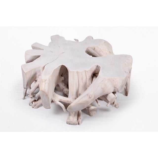 Round White Teak Root Coffee Table 14 | Chairish