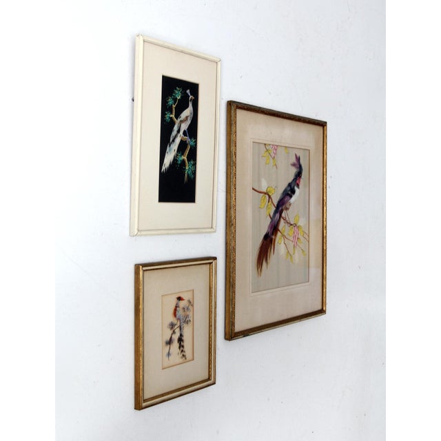 Mid-Century Feather Art Bird Framed Wall Decor Set of 3 | Chairish