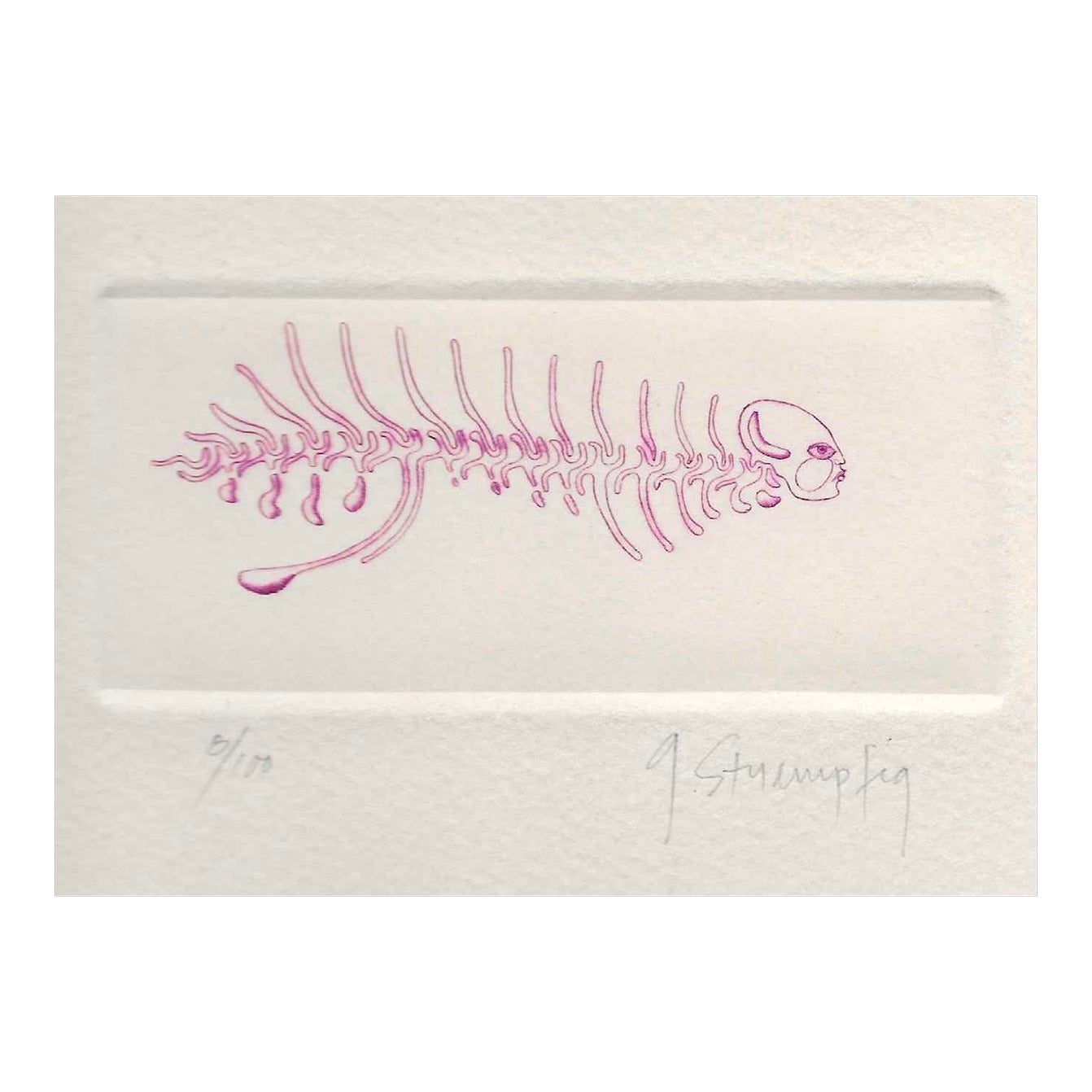 George Stuempfig Skeleton Etching | Chairish