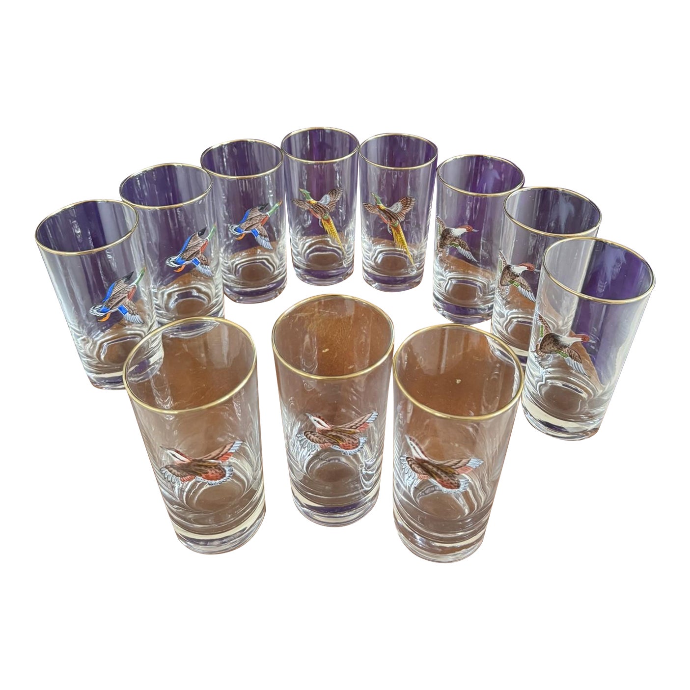 1960s Set of 11 Signed H Martin Glasses With Raised Bird Images | Chairish
