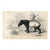 1830s, Malayan Tapir Print, Original Antique Mammal Engraving, England ...
