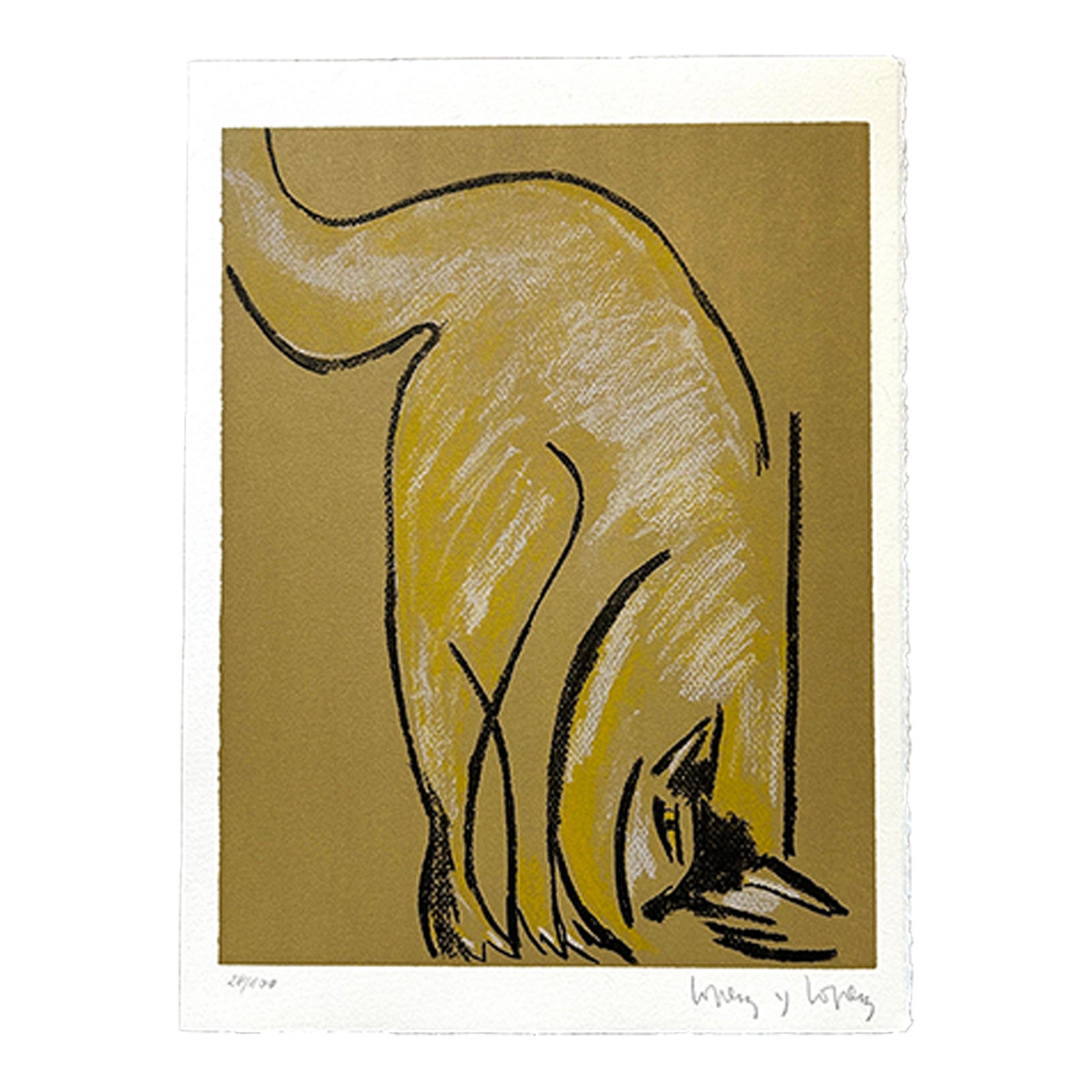Lithograph of Burmese Cat by Spanish Artist Maria Jose Lopez Y Lopez ...