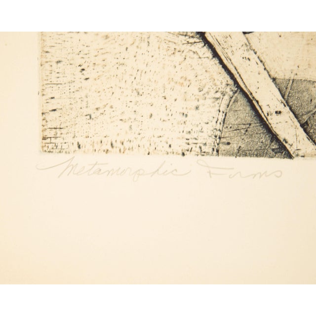 Walter Sorge Signed Limited Edition “Metamorphic Forms” Abstract ...