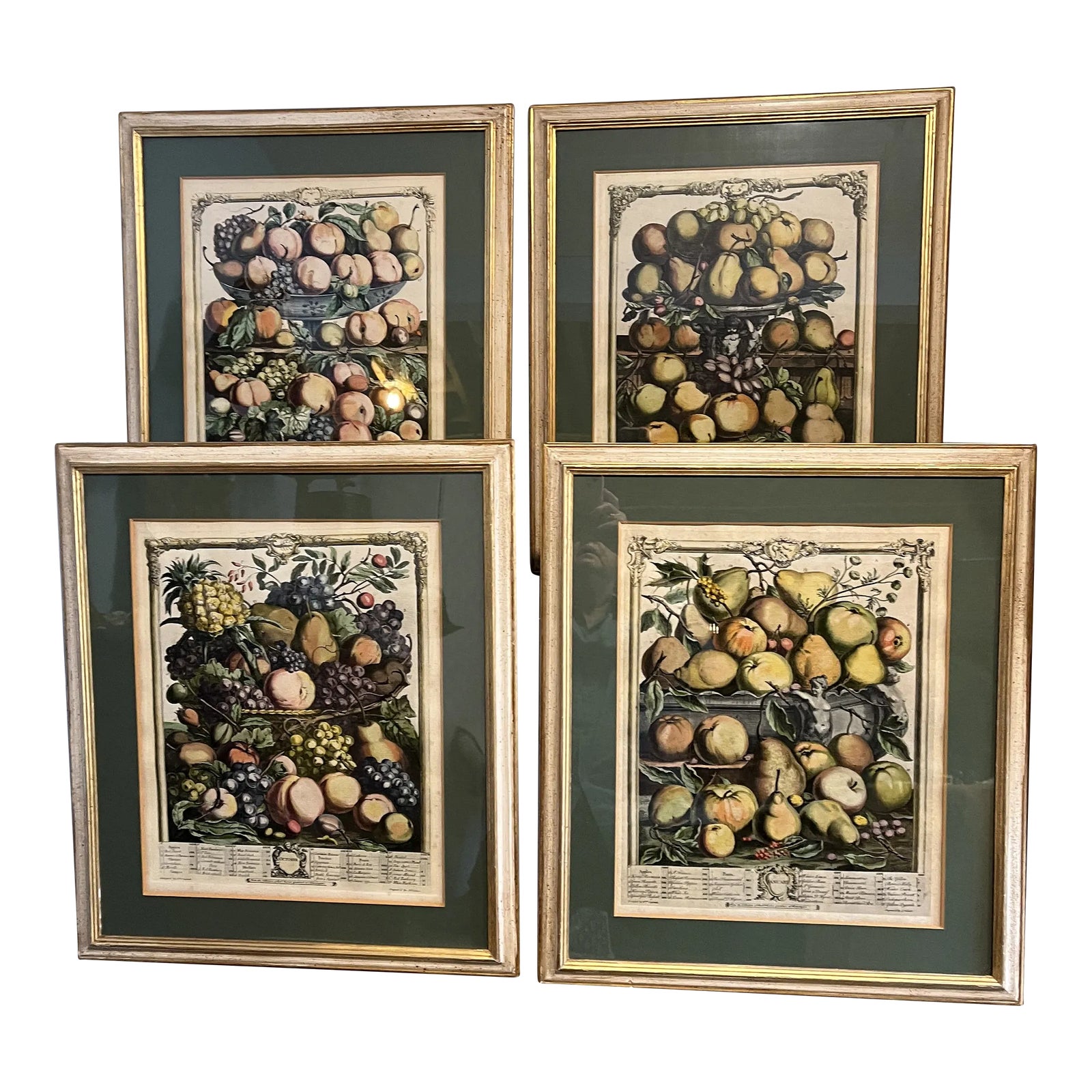 Beautifully Framed Botanical Prints of Fruit of the Month After Furber ...
