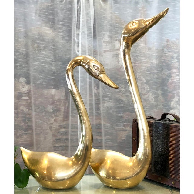 Mid Century Modern Brass Swans Large Polished -A Pair | Chairish