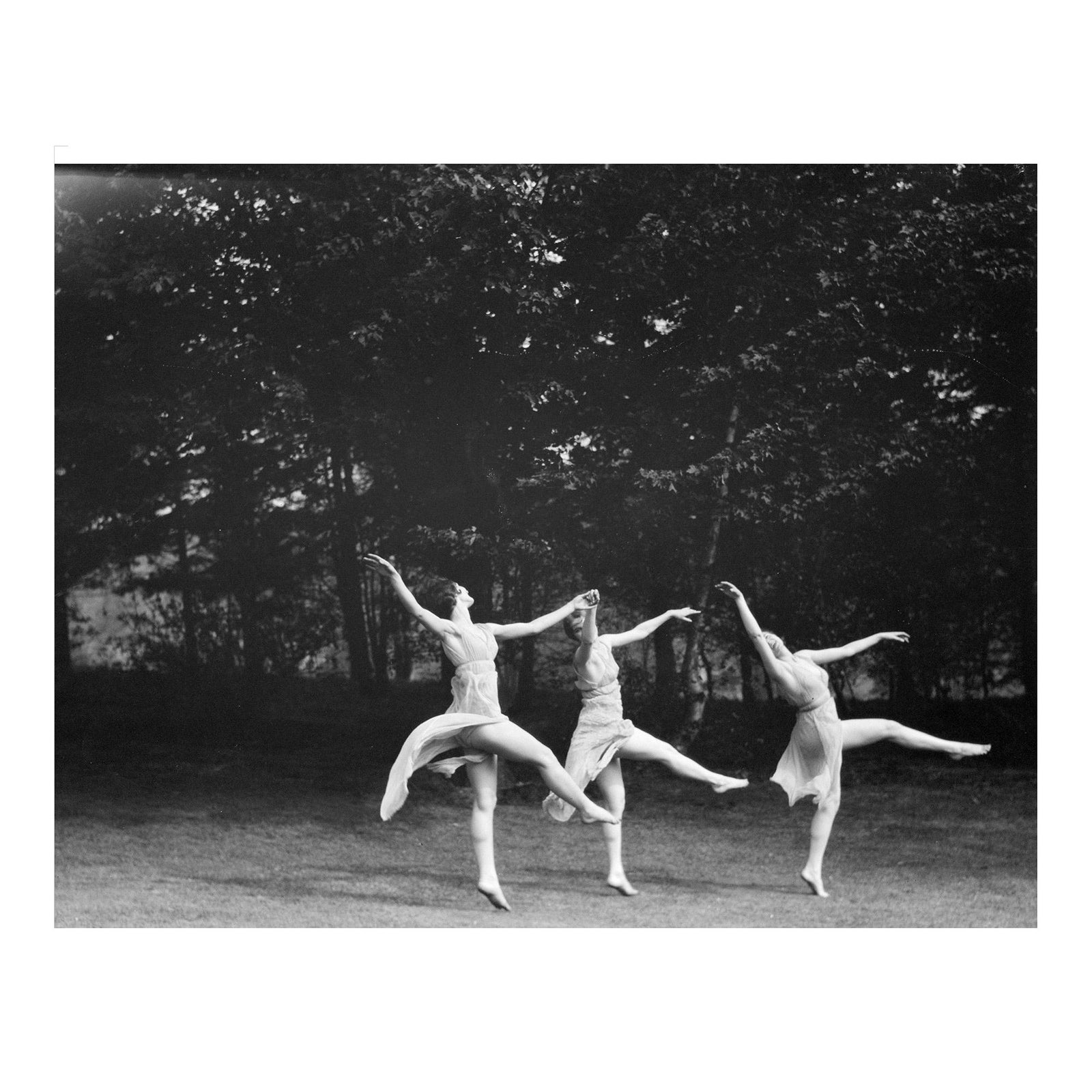 Contemporary Reproduction Print of Female Modern Dancers in Nature ...