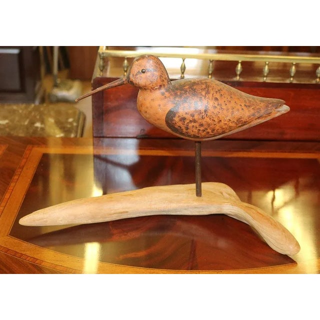 Hand-Made Vintage 1940s Long Billed Dowitcher Deco on Driftwood Carved ...