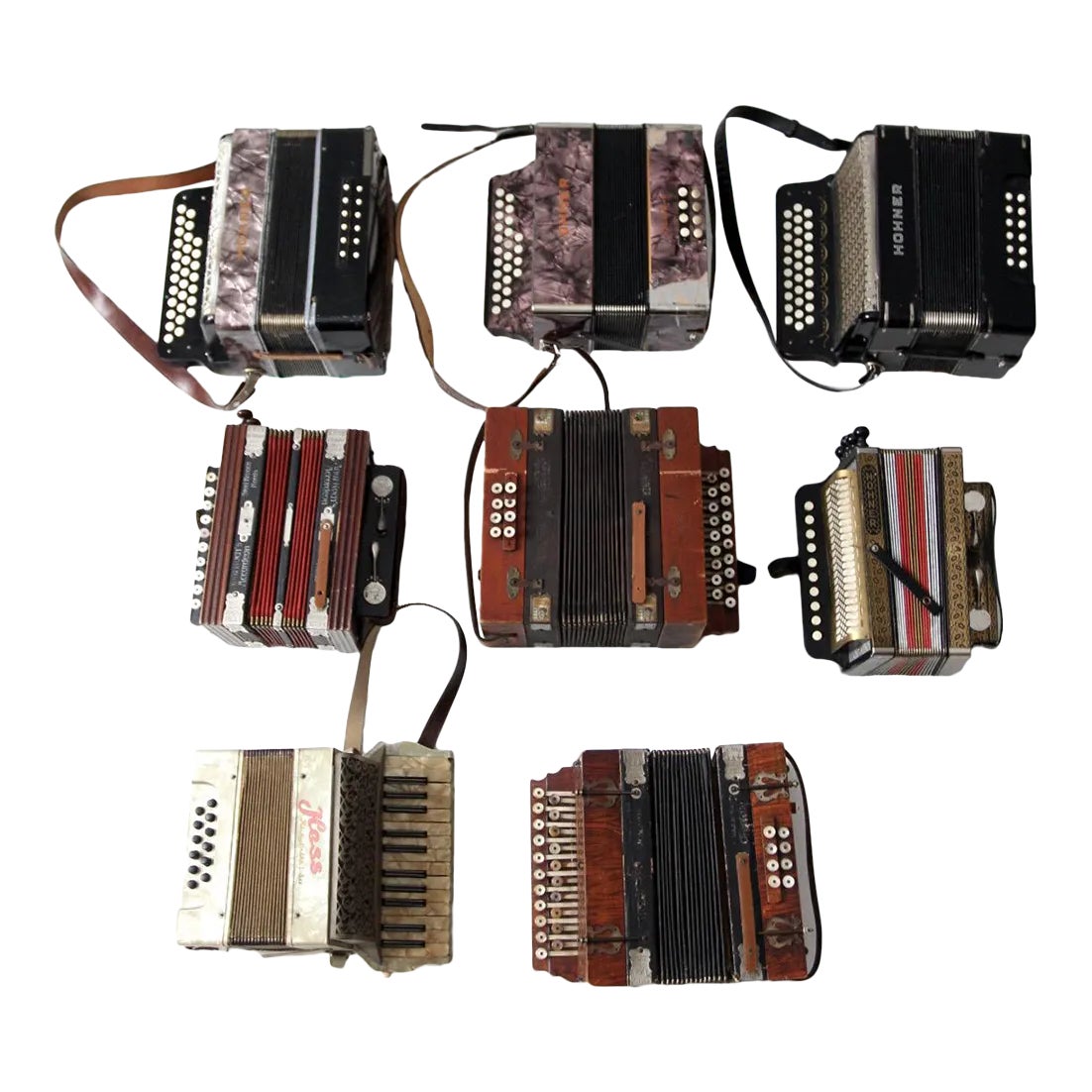 Vintage Accordion Collection - Set of 8 | Chairish