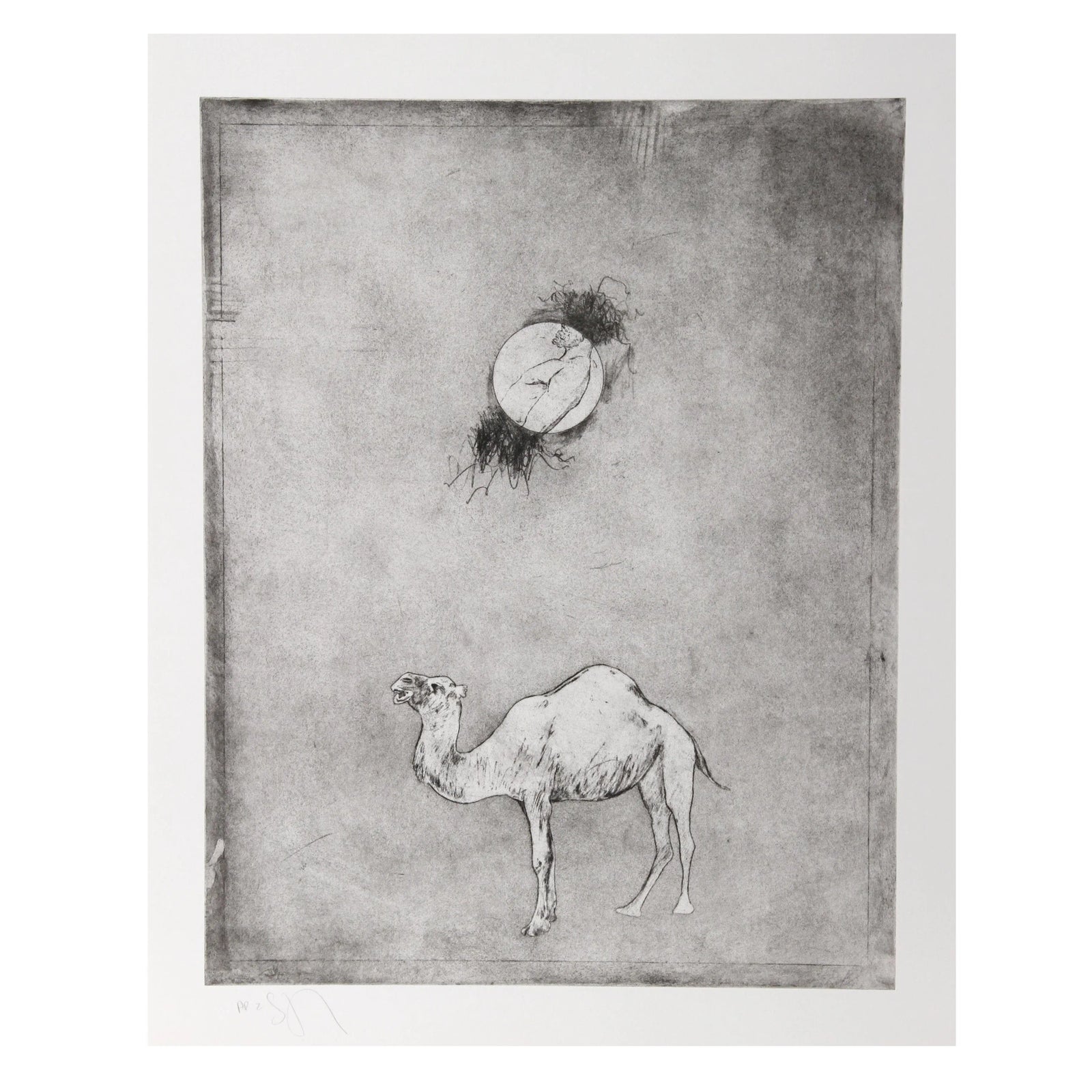 Donald Saff - Camel Moon Etching | Chairish