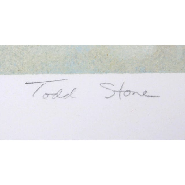 Todd Stone "Passage I" Lithograph | Chairish