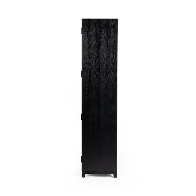 Millie Panel & Glass Door Cabinet, Matte Black | Chairish