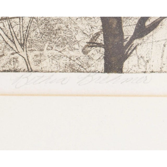 “Thorny Edge” Limited Edition Etching by Bethia Brehmer | Chairish