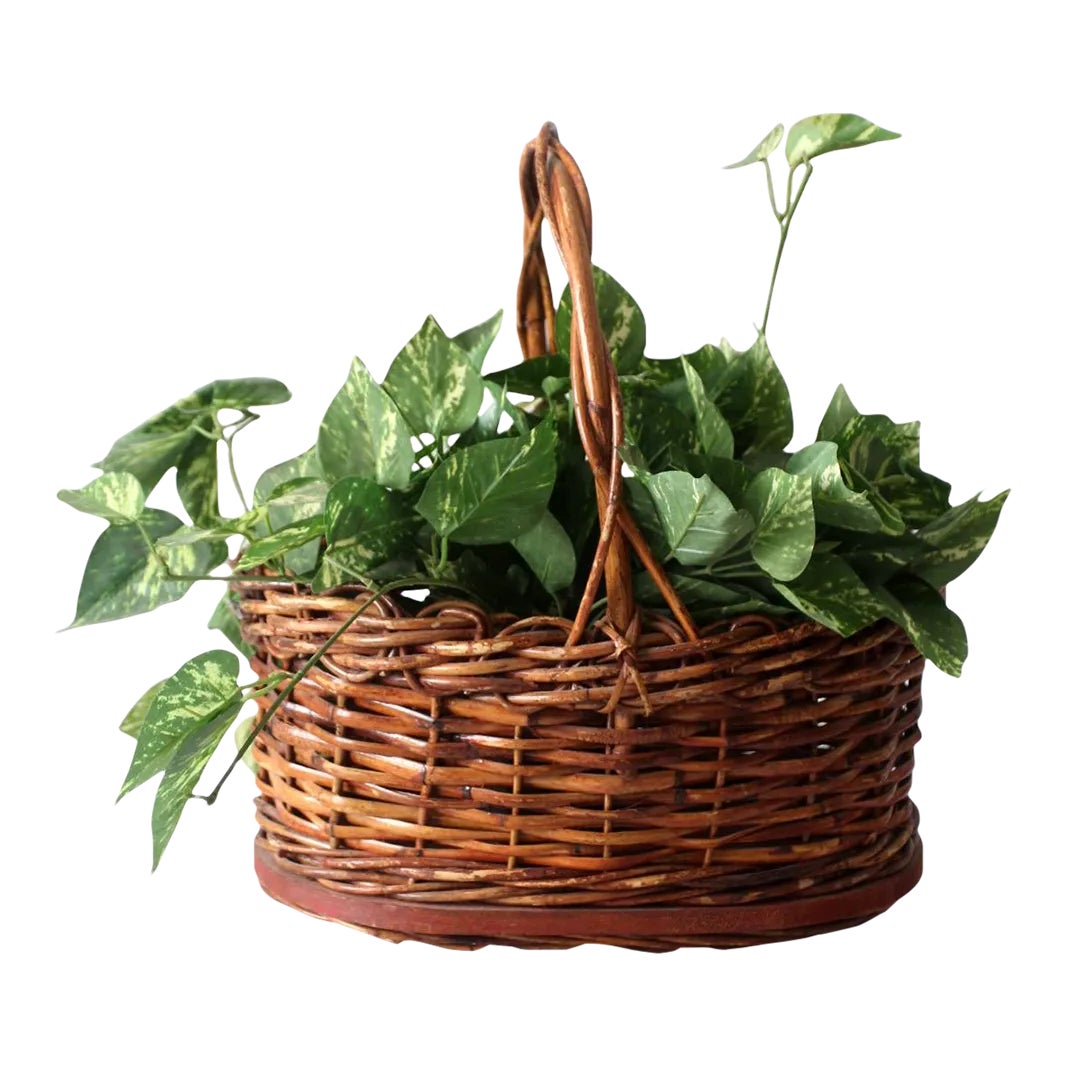 Vintage Wicker Handle Basket | Chairish