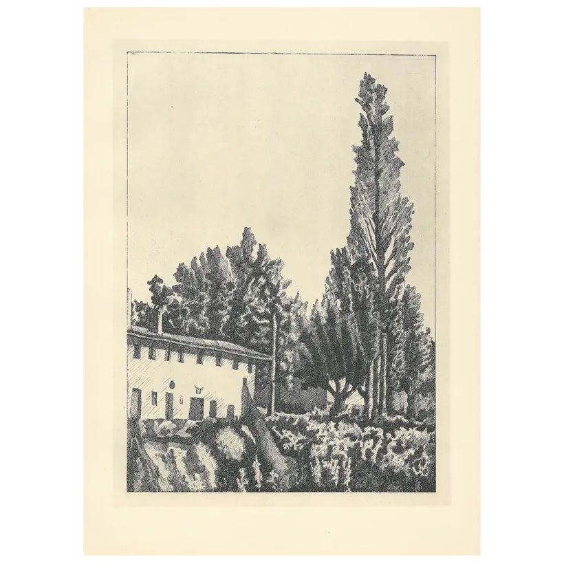 Giorgio Morandi, Landscape with the Big Poplar, 1927-1957, Lithograph ...