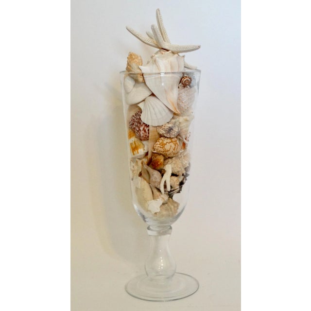 Large Coastal Glass Vase With Seashell Collection | Chairish