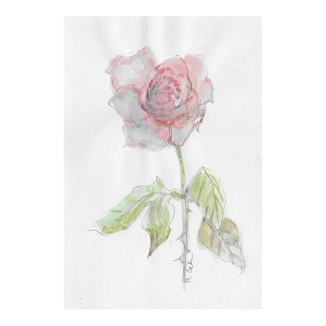 Myriam Cahn Rose Botanical Watercolor | Chairish