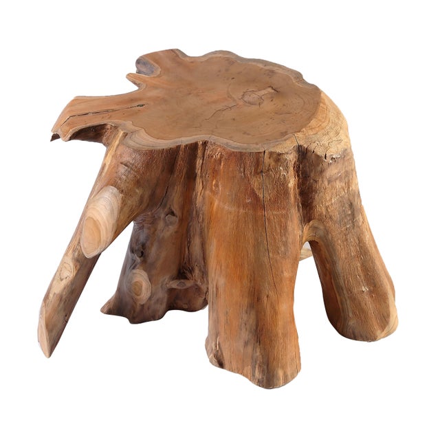 Organic Modern Nature Teak Root Accent or Side Table or Stool 4 | Chairish