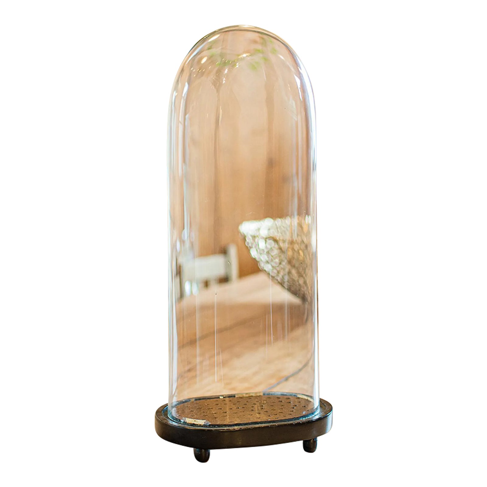 1900's Oval Antique Diorama Dome | Chairish