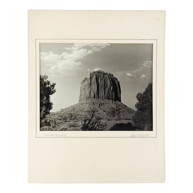 Lloyd M. Pyeatt Desert Sentinel Monument Valley Photo | Chairish