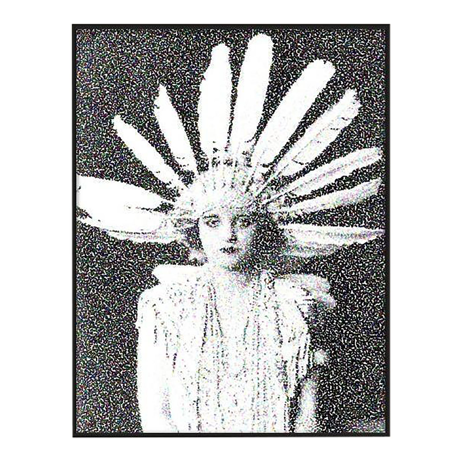 33' X 43' - Tallulah Blankhead - High-End Framed Color Photograph ...