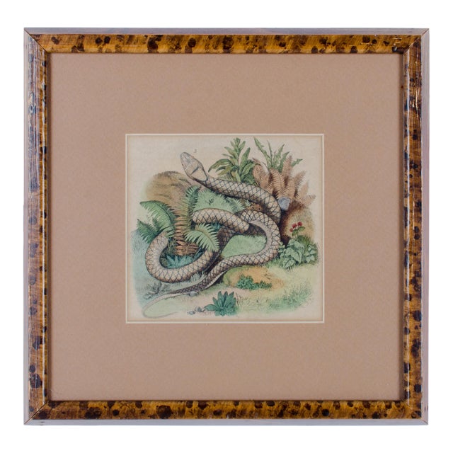 Antique Snake Engraving | Chairish